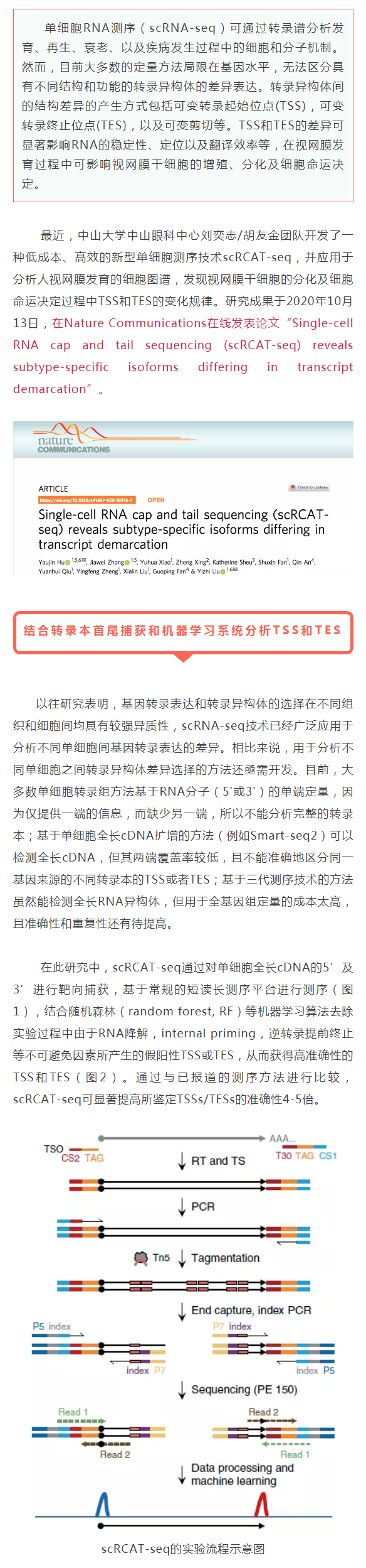 【资讯】Nat. Comm. | 中山眼科中心刘奕志/胡友金团队开发新型单细胞测序方法，揭示视网膜发育过程中RNA异构体动态变化_www.yanke360.com